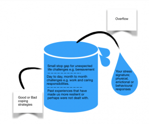 Coping with Stress using the Stress and Vulnerability Bucket